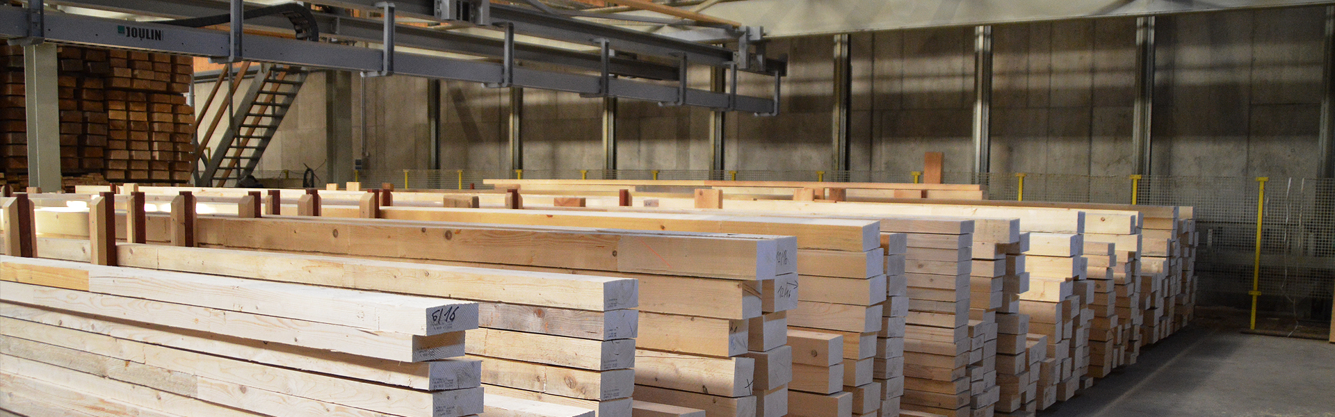 Holz – der Rohstoff der Zukunft – Rothmund Holz